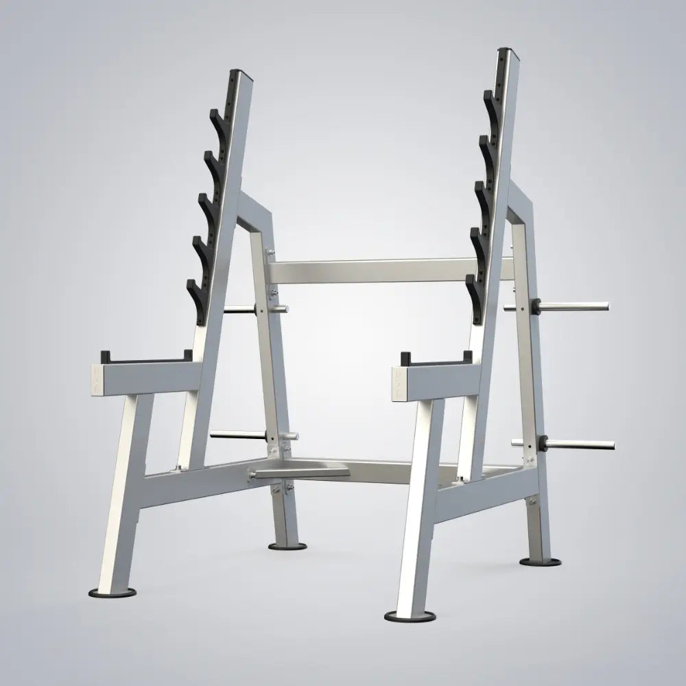 DHZ Fitness Squat Rack - U3050 – Rosario Fitness Store